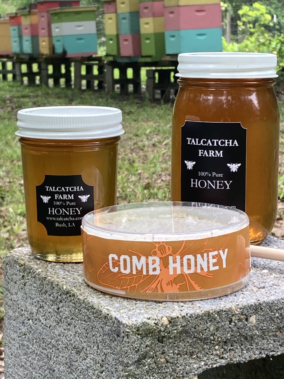 Ross Round Comb Honey Now Available! | TALCATCHA FARM